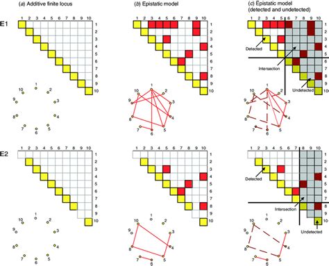 examples of an adjacency matrix and network topology for n 10 gene