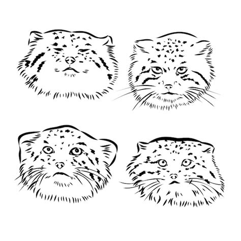 Manul 이미지 Freepik에서 무료 다운로드