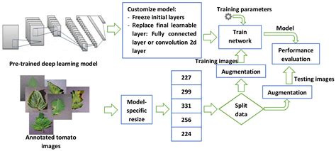 Automatic Detection Of Tomato Diseases Using Deep Transfer Learning