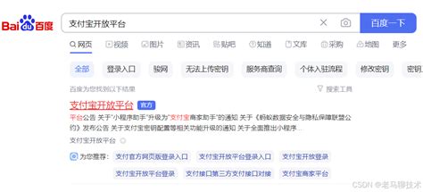 springboot整合支付宝沙箱完成支付功能 springboot 支付宝支付 csdn博客