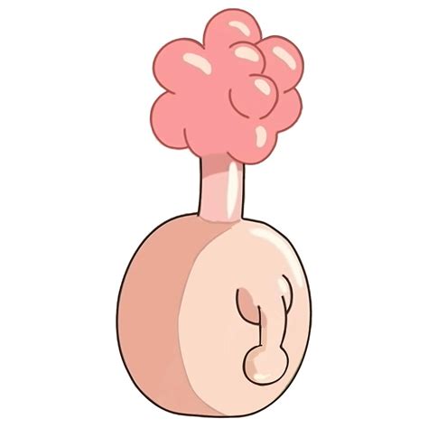506 Best Plumbus Images On Pholder Rickandmorty Thingsforants And Tihi