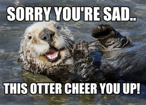 Top 40 Cheer Up Memes Jokes S To Lift Your Mood