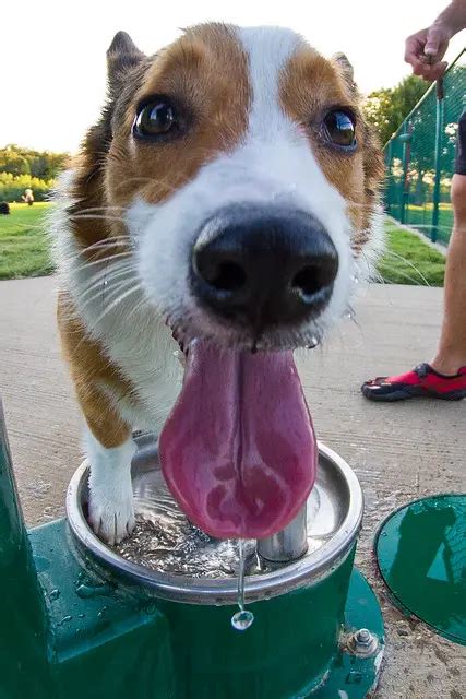 Chauncey Pictures And Videos Scrolller