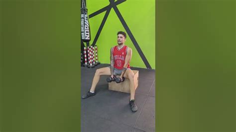 Seated Db Good Mornings Youtube