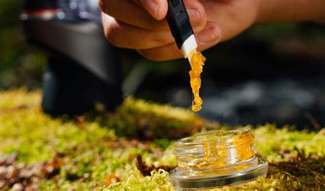 What Is Live Badder Key Benefits And Uses Green Goods