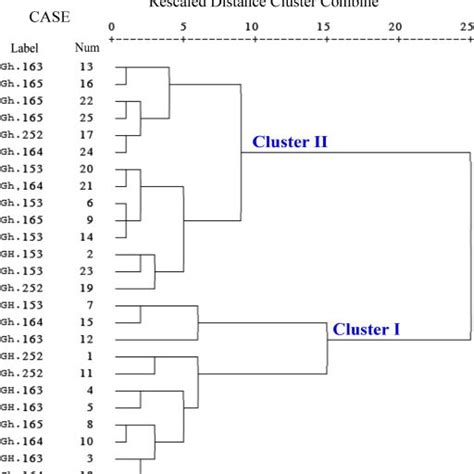 hierarchical cluster analysis dendrogram using average linkage between