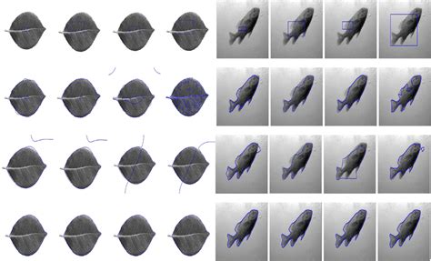Comparative Analysis Of Various Segmentation Results By Considering