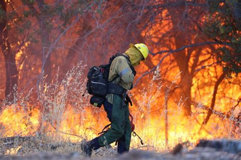 The Role Of Ai In Wildfire Risk Prediction Mitigation And Management