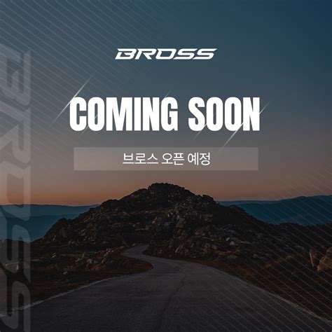 Bross Bikes Korea Brossbikes Korea • Instagram Photos And Videos