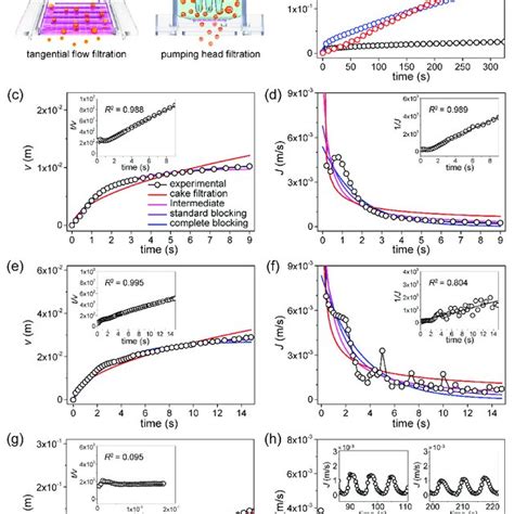 Analysis Of The Filtering Rate From Utm 7 Filtering Result A