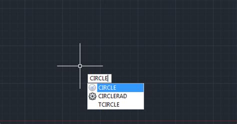 BroodaCAD How To Draw A Circle In AutoCAD