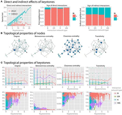Frontiers Deciphering Microbial Interactions And Detecting Keystone Species With Co Occurrence