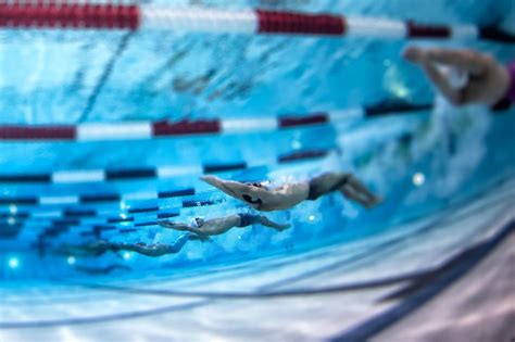Swimming Technical Fundamentals