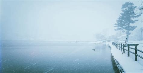 Ira Tenax Photograph By Dmitriy Guzner Fine Art America