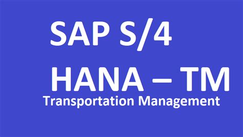 Sap S 4 Hana Tm Transportation Management End To End Training
