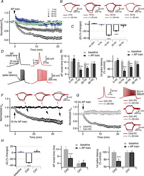 Induction Of Long Term Potentiation Of Intrinsic Plasticity Ltp Ie By Download Scientific