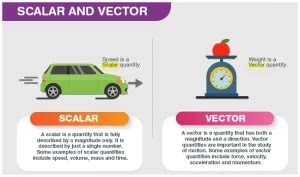 Physical Quantities Scalars Vectors Distance Displacement Speed And Velocity Science Online