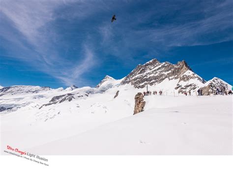 스위스 여행 코스 융프라우요흐 하이킹 네이버 블로그