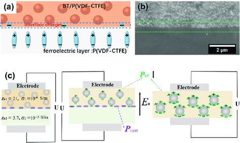 A Schematic And B Cross Section Sem Image Of Bilayer Download Scientific Diagram