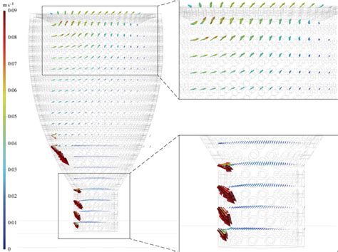 Flow Velocities Vectors U For Archaeolynthus Porosus Cfd Simulation