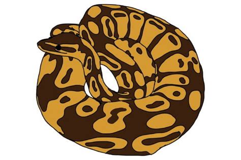 Coiled Python Vector Graphic By Arief Sapta Adjie · Creative Fabrica