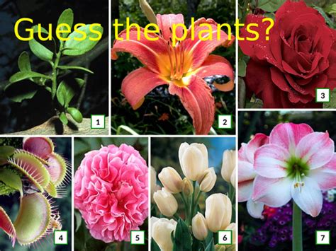 Reproduction A Complete Set Of Resources For Edexcel Igcse Biology Teaching Resources