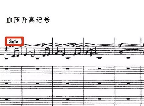 非专业乐谱符号术语图解