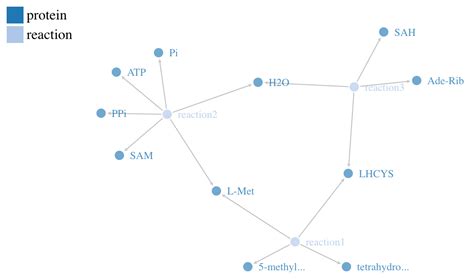 r networkd3 doesn t draw the expected interactive network stack
