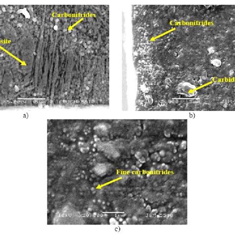 Secondary Electron Micrographs Of The Onc Samples A Structure Of The
