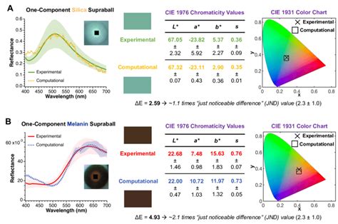 Comparison Between The Computed Reflectance Spectra Obtained From Fdtd
