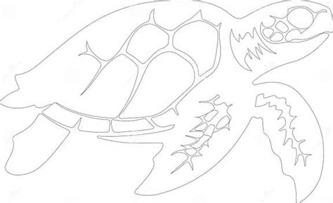 Loggerhead Turtle Outline Silhouette Generative Ai Stock Vector Illustration Of Vectors