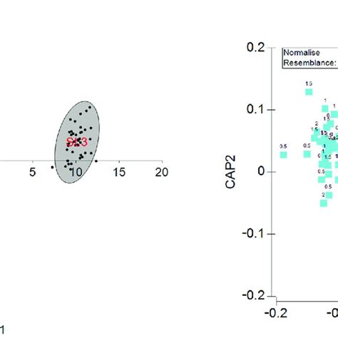 A Principal Component Analysis B Linear Discriminant Analysis And