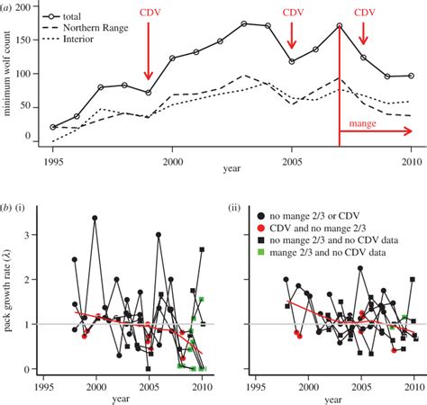 A Minimum Wolf Population Counts Within Yellowstone National Park