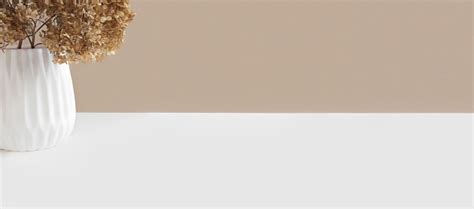 테이블에 현대 흰색 세라믹 꽃병에 말린 수국 꽃 텍스트를위한 공간 추상적인 최소한의 디자인 벽에 대한 테이블 위의 마른 잔디 보여줄 장면 쇼케이스 디스플레이 부드러운 그림자