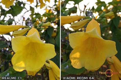 Realme C Vs Xiaomi Redmi A Techhangout