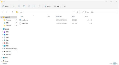 Python 反编译：pycdc工具的使用 阿里云开发者社区