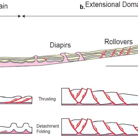 A Classical Cross Section Through An Analogue Model Simulating