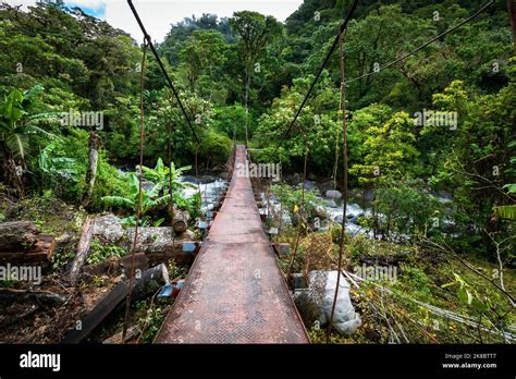 Panama Rainforest Old Hanging Bridge In The Jungle Of Panama Central