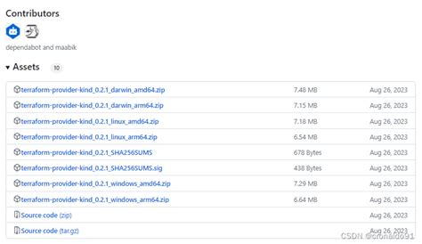 Iac基础设施即代码：terraform使用本地编译in House的providersterraform编译provider Csdn博客