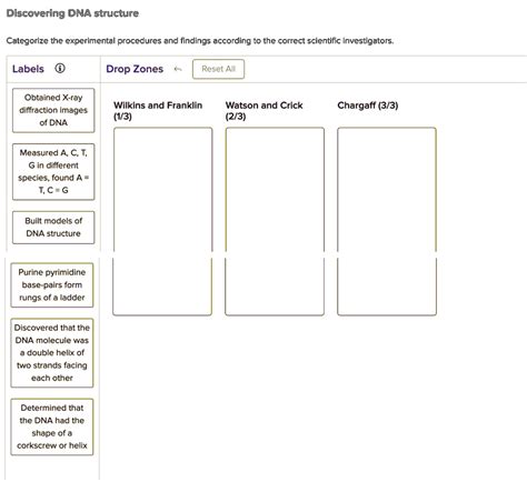 SOLVED Discovering DNA Structure Categorize The Experimental Procedures And Findings According