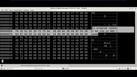 Software Cracking Reverse Engineering Ethical Hacking And Cyber Security Datacom It
