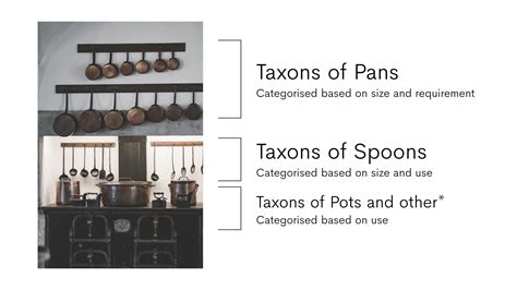 Hierarchical Taxonomy Ux Designs Secret Weapon By Punit Chawla Ux Collective