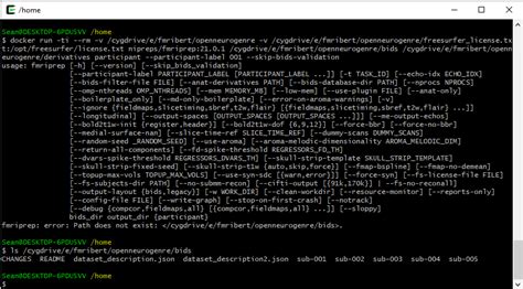Docker Run Fmriprep Dataset Description Json Is Missing On Windows Fmriprep Neurostars