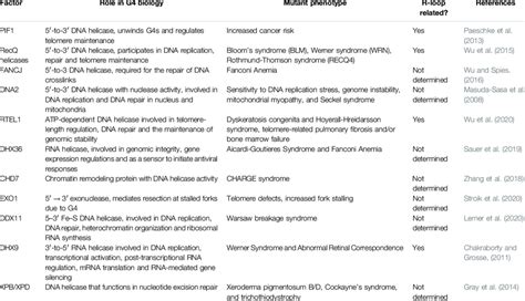 Helicases Involved In G Quadruplexes Resolution And Their Connection