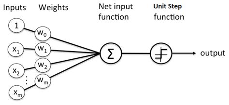 Building A Perceptron From Scratch A Peek Inside Neural Networks By Oluwuyi Olumide Gdg