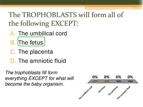 Unit 8 Mammalian Reproduction Ppt Download