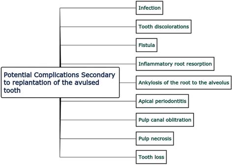 Perspective Chapter Teeth Avulsion Intechopen