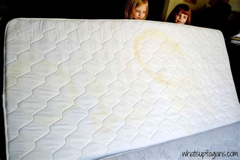 How To Remove Pee Stains From Mattress Hometalk