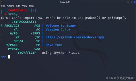Scapy定制数据包详解linux自定义数据包 Csdn博客