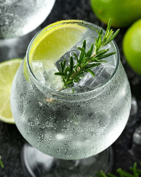 Classic Gin And Tonic Recipe At
